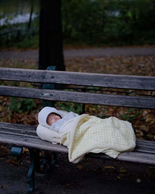 I Found a Baby Alone on a Park Bench