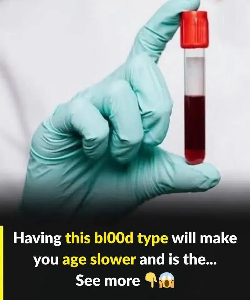 🧬 Does Your Blood Type Affect How Fast You Age? New Research Says Yes ...
