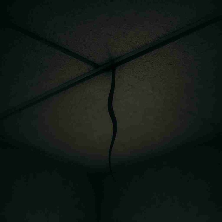 A Strange Object Dangling From a Ceiling Sent the Internet Into Hysterics—