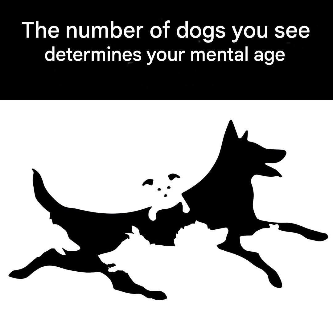 This Hidden Dogs Image Challenge Reveals How Observant You Are
