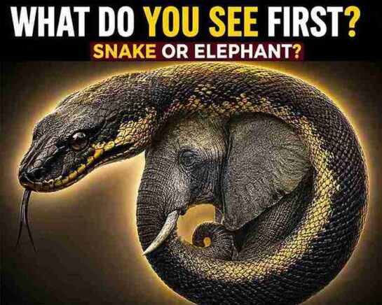 What Did You See at First Sight? 97% of People Saw a Snake!